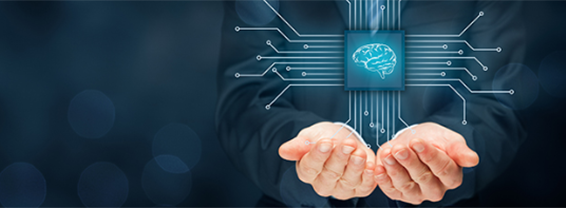 Customized Product - NETSOL